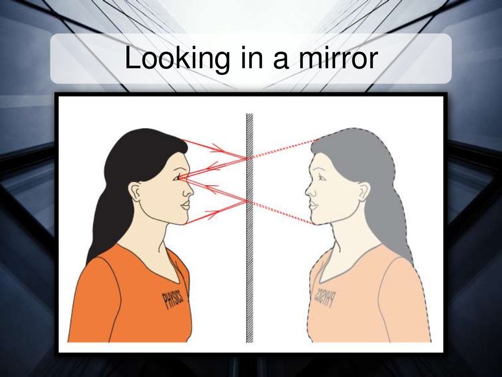 Reflections in a Plane Mirror