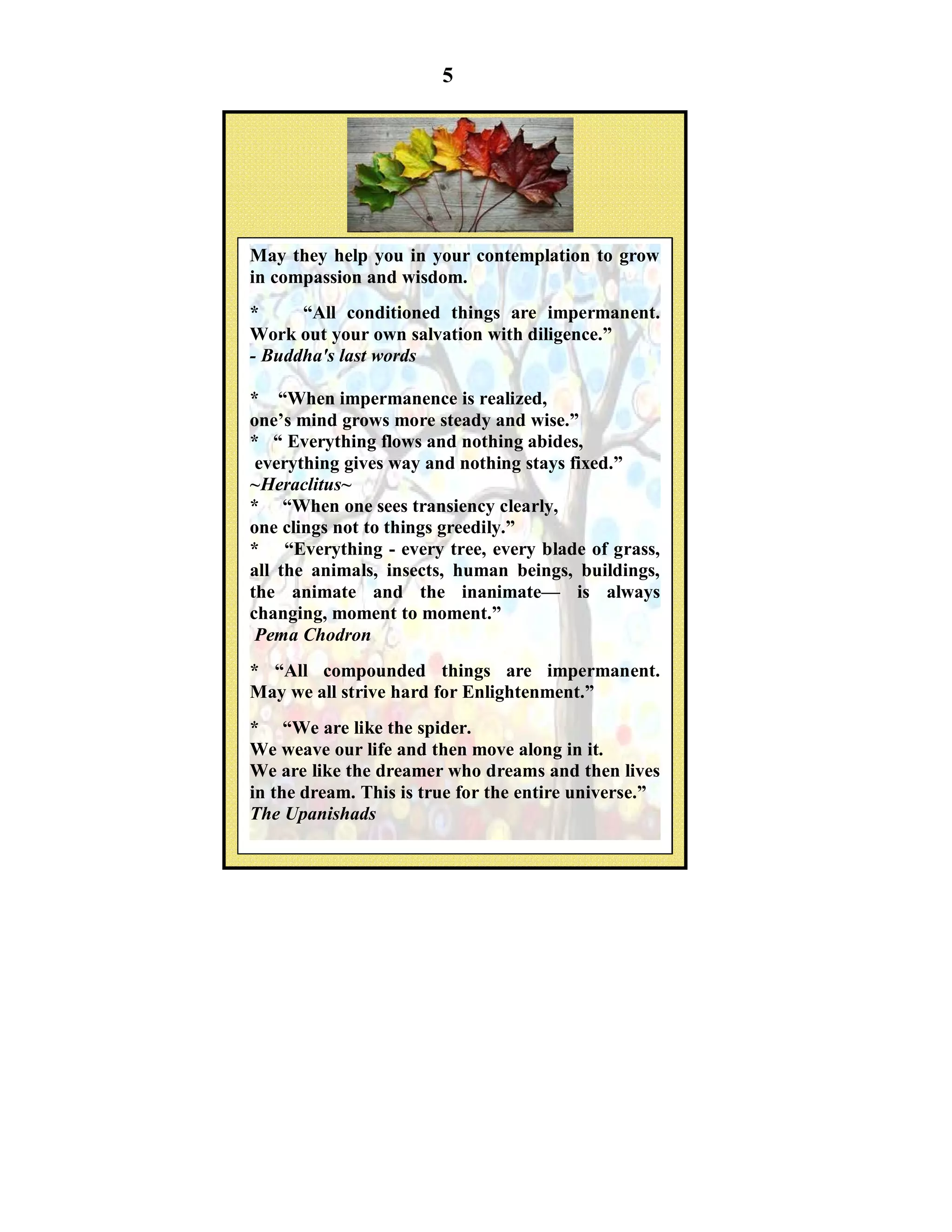 Reflections on Impermanence (English).pdf