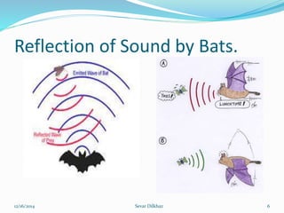 Seismic Reflection | PPTX