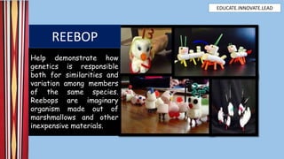 Reflective Integrative Learning | PPT