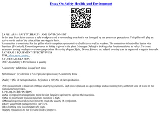 Reflective Essay On Safety | PPT