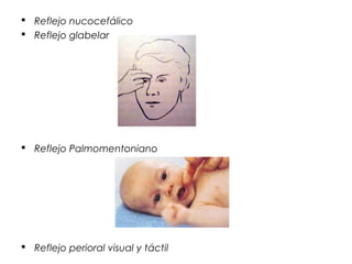 Reflejo cubitopronador | PPT