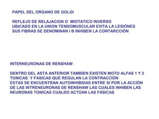 Reflejo Miotatico | PPT