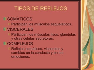 Reflejos | PPT