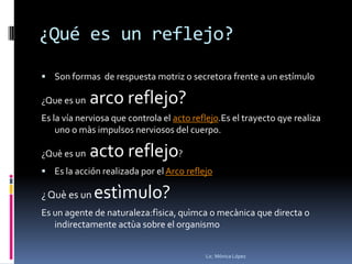 Reflejos | PPTX