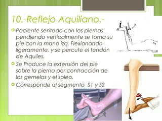 Reflejos | PPT