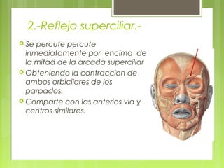 Reflejos | PPT