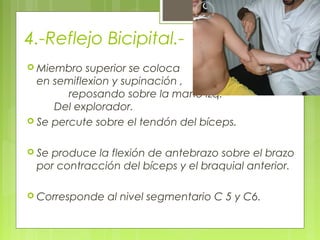Reflejos | PPT