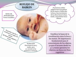 Reflejos | PPTX
