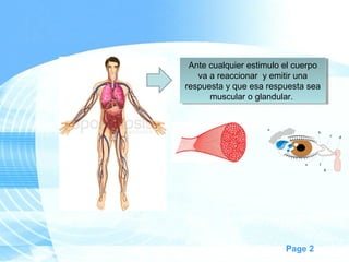 Reflejos | PPT