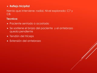 Reflejos | PDF