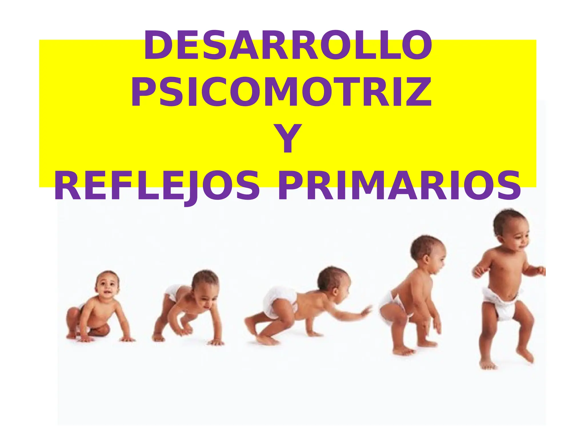 Reflejos-del-recien-nacido.pdf . | PDF