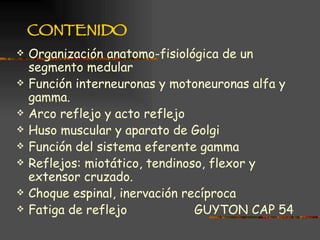 Reflejos Medulares2 | PPT
