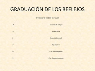 Valoración de los Reflejos | PPT