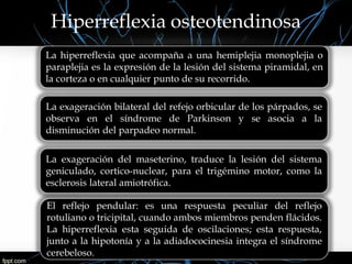 Reflejos | PDF