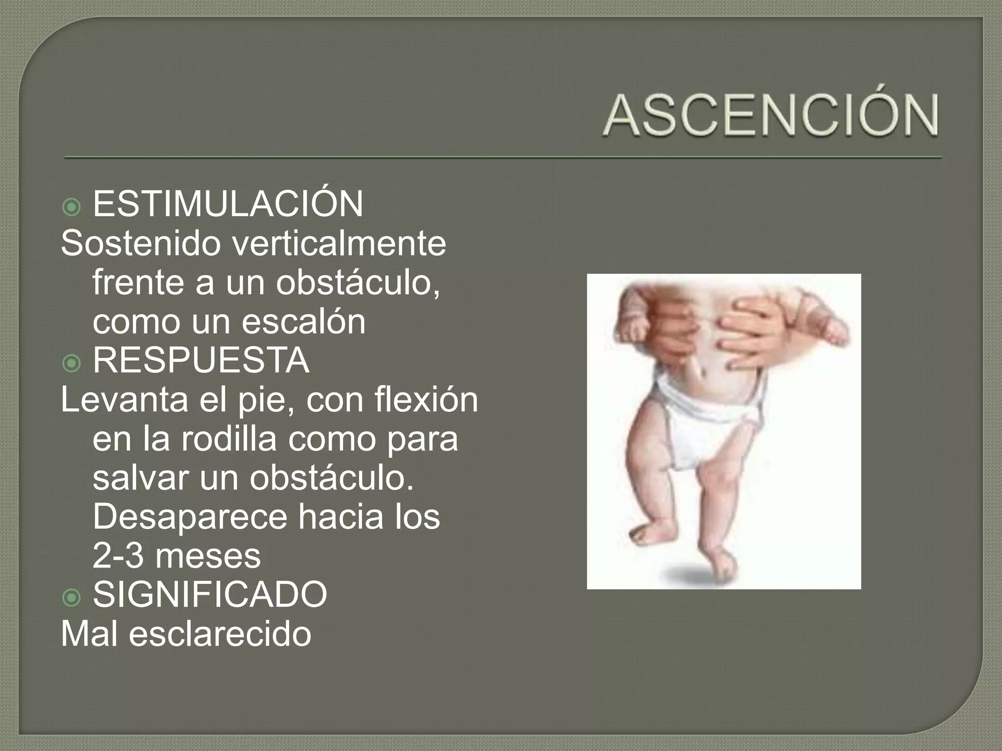 Reflejos del recien nacido | PPT