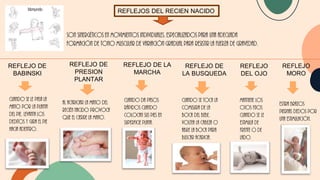 REFLEJOS DEL RECIEN NACIDO.pdf