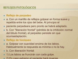 Reflejos en el recien nacido | PPTX