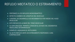 Reflejos medulares | PPTX