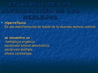 Reflejos (parte I) | PPT