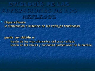 Reflejos (parte I) | PPT
