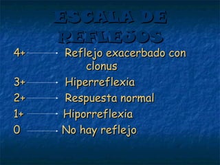 Reflejos (parte I) | PPT