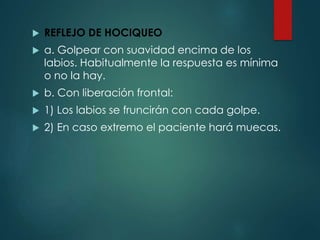 Reflejos neuropediatria | PPTX