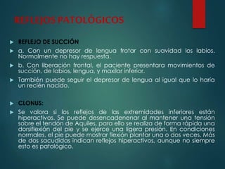 Reflejos neuropediatria | PPTX