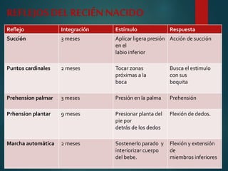 Reflejos neuropediatria | PPTX