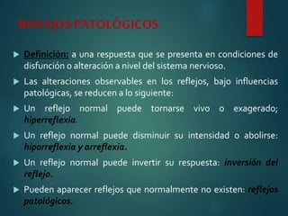 Reflejos neuropediatria | PPTX