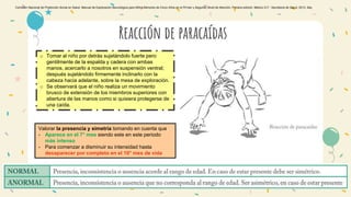 Reflejos_primitivos_y_reacciones_posturales.pptx