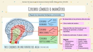 Reflejos_primitivos_y_reacciones_posturales.pptx