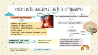Reflejos_primitivos_y_reacciones_posturales.pptx