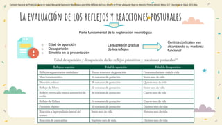 Reflejos_primitivos_y_reacciones_posturales.pptx
