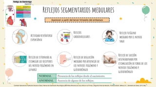 Reflejos_primitivos_y_reacciones_posturales.pptx