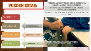 Reflejos tendinoperiósticos o profundos | PPTX
