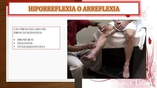 Reflejos tendinoperiósticos o profundos | PPTX