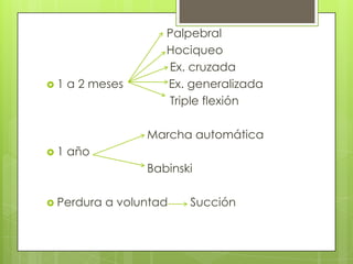Reflejos y reacciones | PPTX
