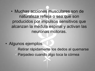 Reflejos Y Tono Muscular | PPTX