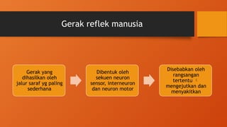 Reflek, Gerak dan Postur Tubuh Manusia.pptx