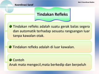 Refleks | PPT