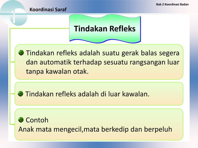 Refleks | PPT