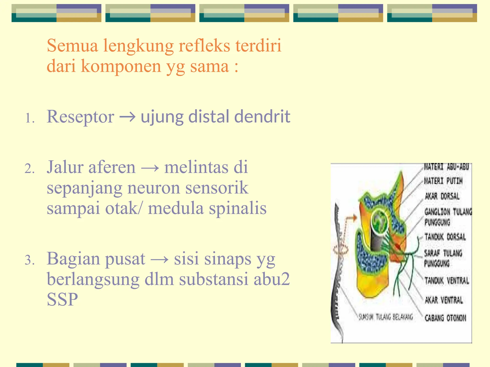 PERISTIWA REFLEKS, GERAKAN PADA MANUSIA.ppt