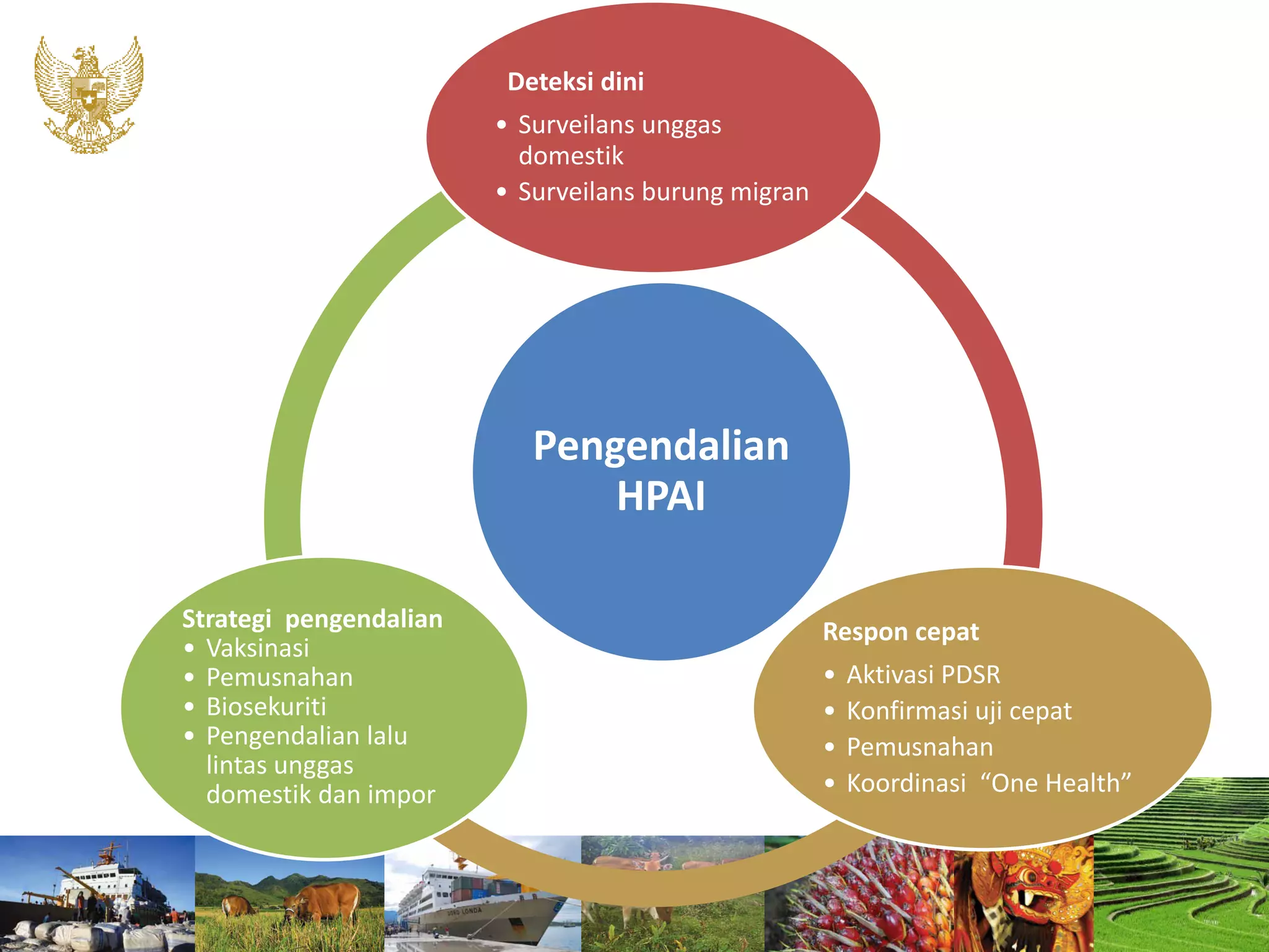 Refleksi dan Perspektif Pembangunan Peternakan dan Kesehatan Hewan ...