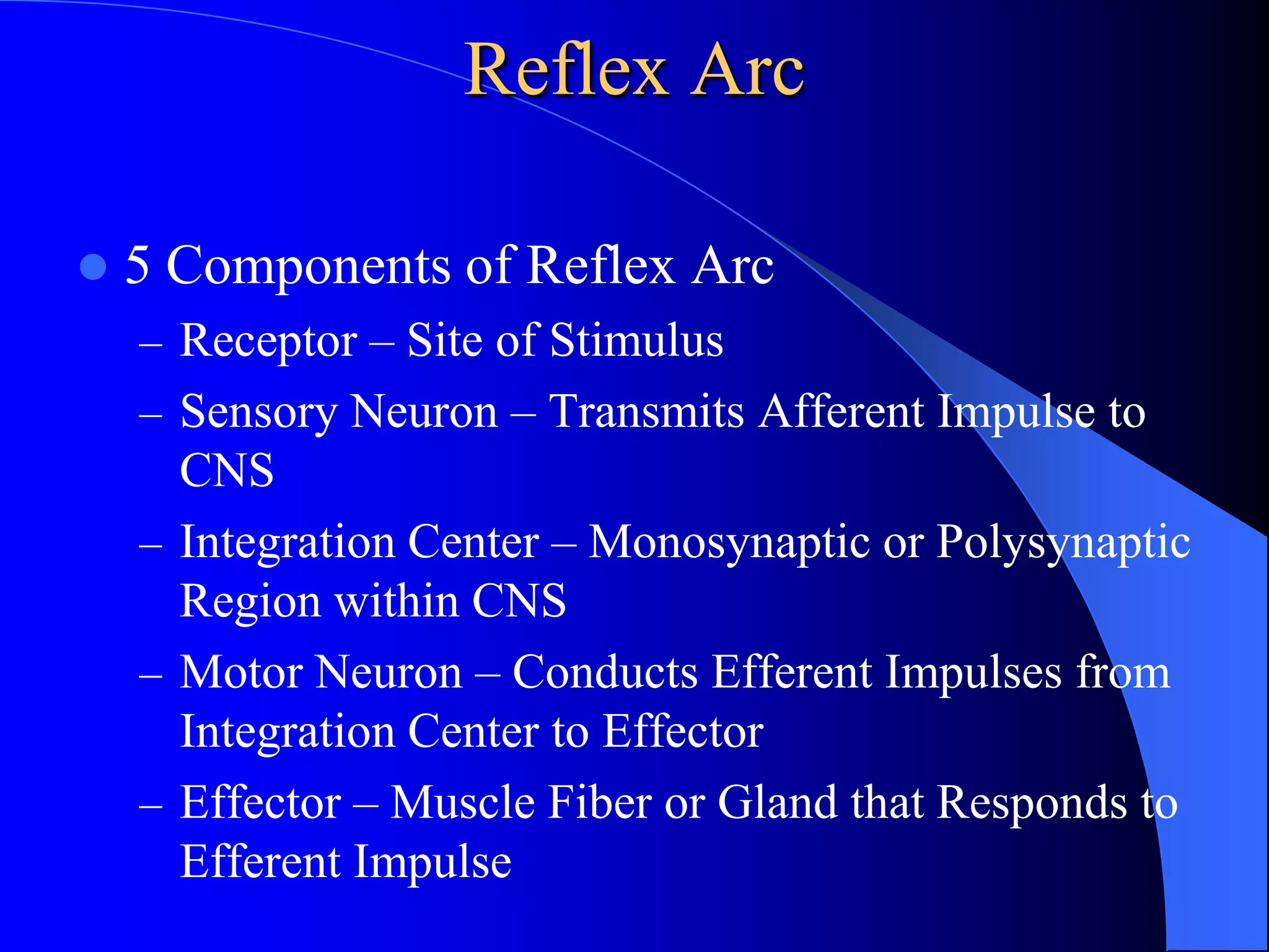Reflex | PPT