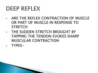 Reflex | PPTX