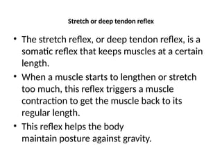 REFLEX.pptx FOR 1ST YEAR PHYSIOLOGY .... | PPTX
