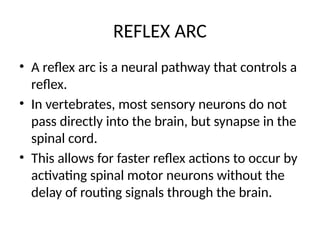 REFLEX.pptx FOR 1ST YEAR PHYSIOLOGY .... | PPTX