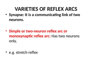REFLEX.pptx FOR 1ST YEAR PHYSIOLOGY .... | PPTX