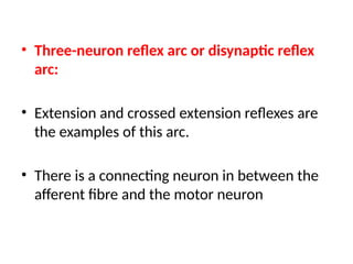 REFLEX.pptx FOR 1ST YEAR PHYSIOLOGY .... | PPTX